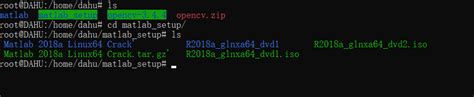 windows的linux子系统中挂载镜像文件错误 编程语言 csdn问答