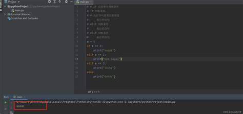 python控制流 分支判断 csdn博客