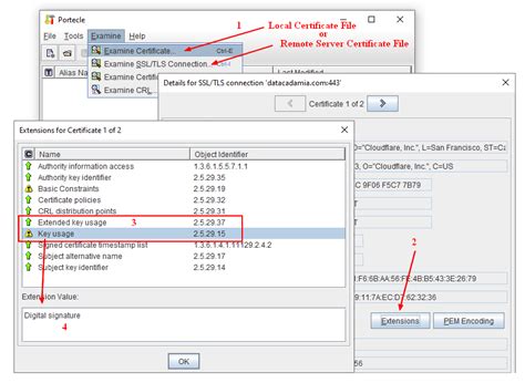 What Are The Possible Certificate Usages Certificate Datacadamia