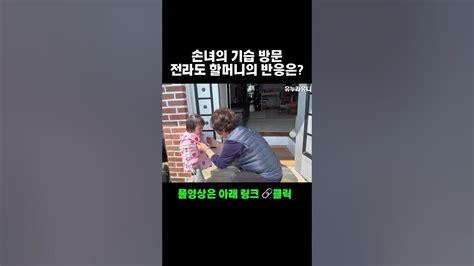 손녀의 기습 방문에 전라도 할머니 반응은⁉️ 할머니와손녀 시골집 육아브이로그 Youtube