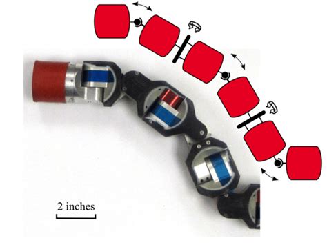 The Cmu Modular Snake Robot Is Composed Of 16 Identical Modules Whose Download Scientific
