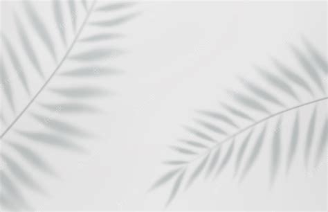 빈 스튜디오 추상적인 배경 프리미엄 벡터