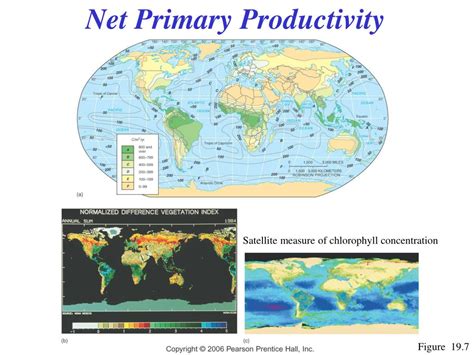 Ppt Chapter 19 Ecosystem Essentials Powerpoint Presentation Free