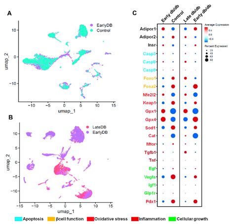 Single Cell Umap Visualization Depicting The Cellular Landscape