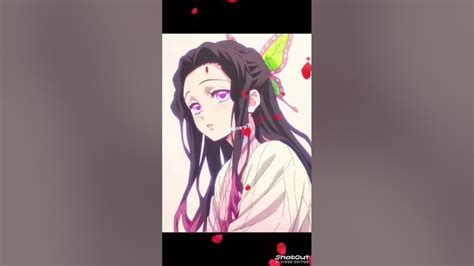 صور بنات انمي قاتل الشياطين كاناي Youtube