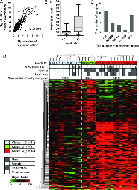 Mcam Analyses In Meningiomas A Confirmation Of The Reproducibility Download Scientific