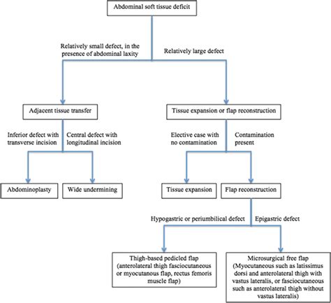algorithm for soft tissue reconstruction of the abdominal wall