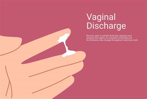 Vaginal Health Vector Art Icons And Graphics For Free Download