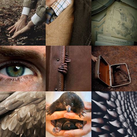 Tina Loves Newt On Tumblr