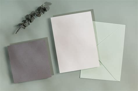 청첩장 인사말 카드의 모형 연한 녹색 봉투와 유칼립투스 가지가 있는 빈 흰색 회색 카드 0명에 대한 스톡 사진 및 기타 이미지
