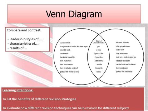 Exploring The Differences And Similarities A Visual Comparison Using