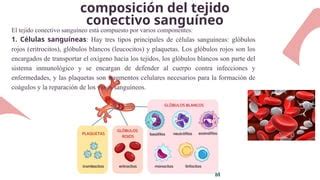 Biologia Tejidos Conectivo Y Sanguíneo2 Pptx