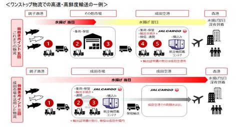 Jal・jalカーゴ、成田市場で生鮮航空貨物取扱へ 旅行業界・航空業界 最新情報 − 航空新聞社