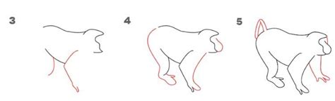How To Draw A Monkey Step By Step Drawn Light Artofit