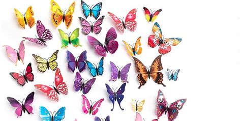 butterflies 100 species classification kaggle
