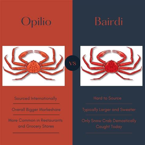 What Is The Difference Between An Alaskan King Crab And A 55 Off