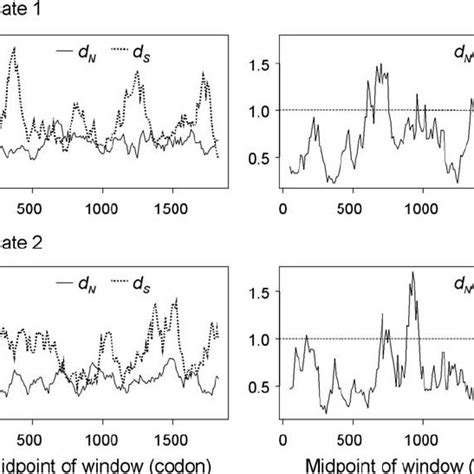 Sliding Window Plots Of D ˆ S D ˆ N And V ˆ D ˆ N D ˆ S From Two Download Scientific