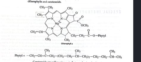 Solved Preparation Of Synthetic Banana Oil Isopentyl Acetate
