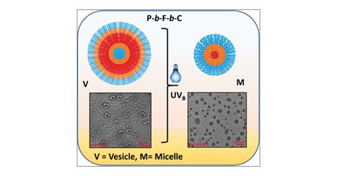 Stimuli Responsive Control Over Self Assembled Nanostructures In