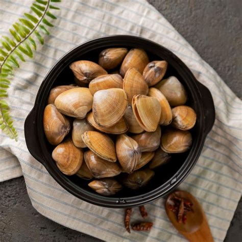 갈미조개 개량조개 메가마트몰