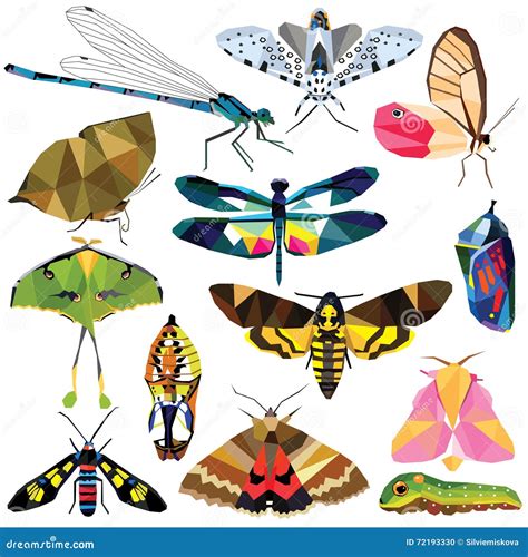 Low Poly Moth Stock Illustrations 156 Low Poly Moth Stock