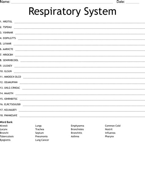 Respiratory System Word Scramble Wordmint