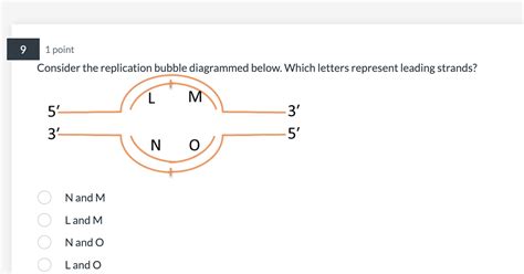 solved 1 point consider the replication bubble diagrammed at