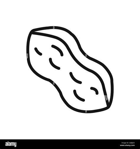 peanut icon linear vector graphics sign or symbol set for web app ui stock vector image and art