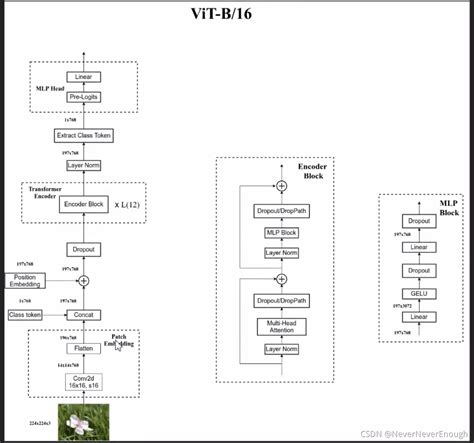 【超详细】初学者包会的vision Transformer（vit）的pytorch实现代码学习vision Transformer代码