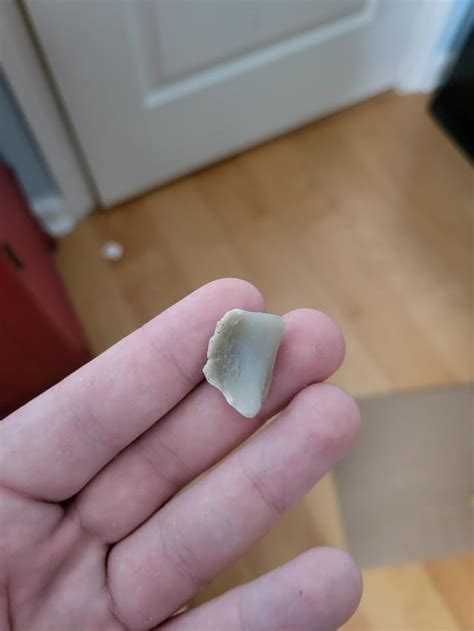 Is This A Fossilized Shell Or Rock I Posted On R Whatisthisrock With No Luck Wondering If You