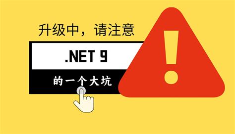 升级中请注意，net9的一个“大坑” 杨中科 杨中科 哔哩哔哩视频