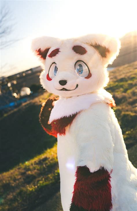 しふとぴくす（ちるこんお疲れ様でした On Twitter Rt Animari67 アー写もぜひ見てね