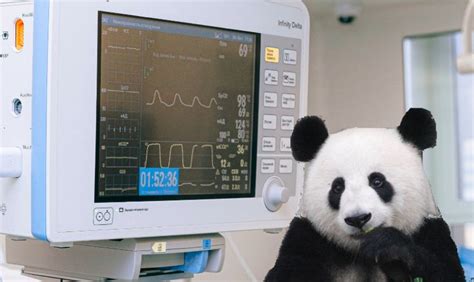 Named Entity Recognition For Clinical Text Data Science Clinic Supervised Learning