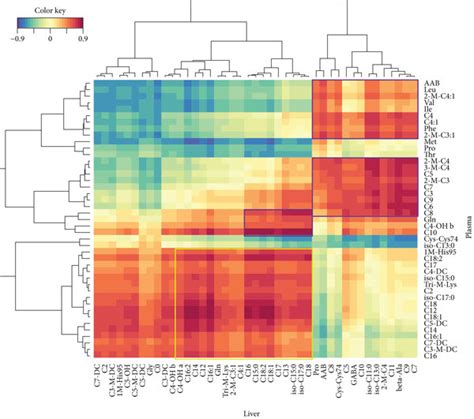 heat map of hierarchical clustering of plasma and liver metabolites