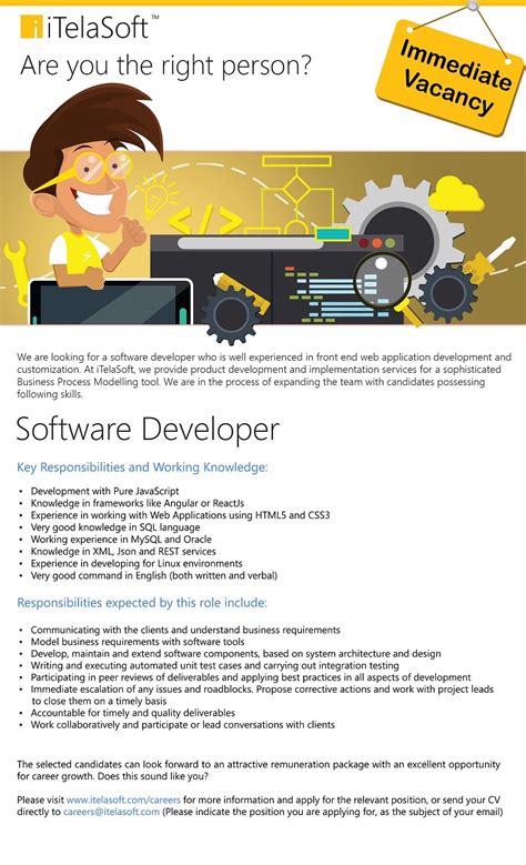 Software Developer