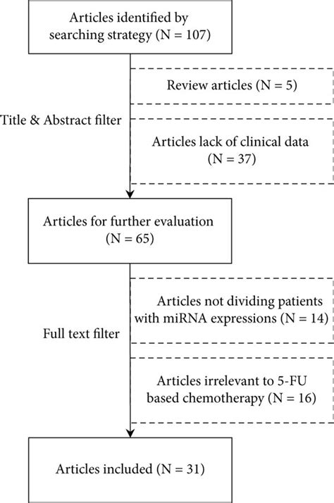 The Literature Searching And Filtering Workflow Download Scientific