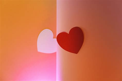Models 4 Polarization Aseem Gupta