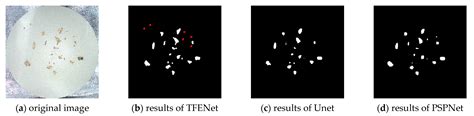 Tfemrnet A Two Stage Multi Feature Fusion Model For Efficient Small Pest Detection On Edge