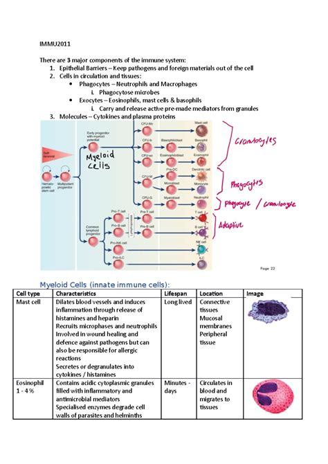 Immu2011 All Lecture Notes Immu There Are 3 Major Components Of The