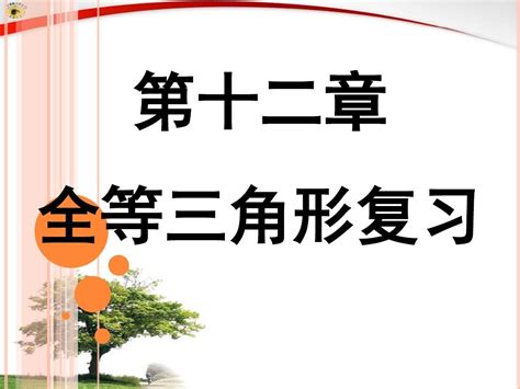 新人教版第十二章全等三角形复习课件 可用 word文档在线阅读与下载 无忧文档