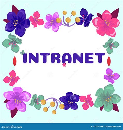 Conceptual Display Intranet Word Written On Local Or Restricted