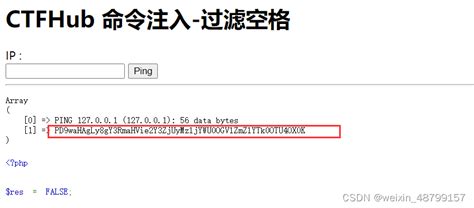Ctfhub技能树笔记之rce：命令注入、过滤cat、过滤空格ctf命令注入 Csdn博客