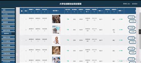 Flask毕设大学生创新创业项目管理（论文程序） Csdn博客