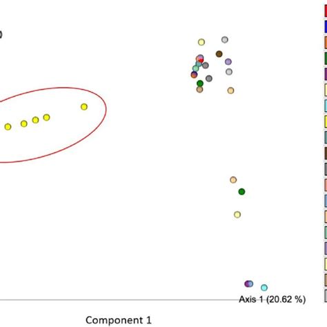 Principal Coordinates Analysis Showing Beta Diversity Based On The Download Scientific Diagram