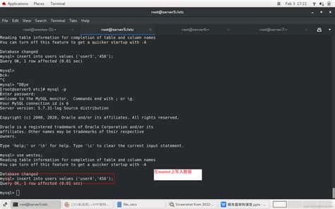 lamp架构之mysql的安装与部署 lamp mysql csdn博客