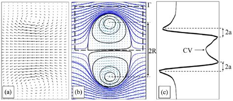 Example Laser Piv Data From The Ring Vortex Phantom A Raw Velocity