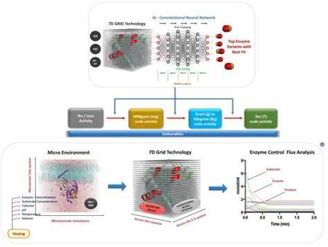 Scientific Posts Kcat Enzymatic