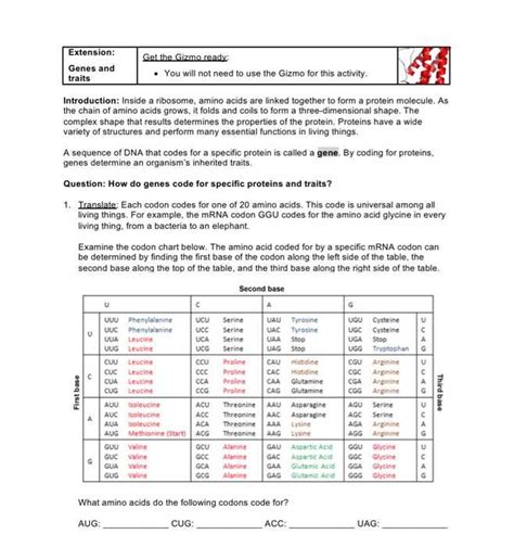 How To Use The Student Exploration Rock Classification Answer Key For Accurate Results