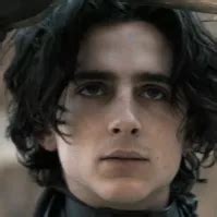 Chat with Timothee Chalamet - text or voice, Enjoy AI Chat Free & Safe