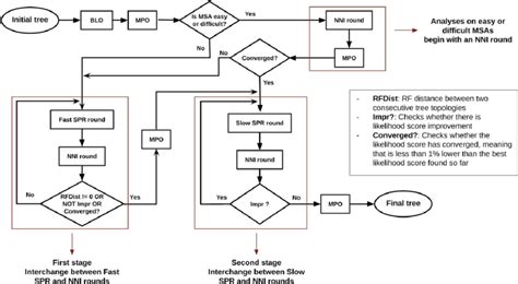 workflow of a single adaptive raxml ng tree inference standard